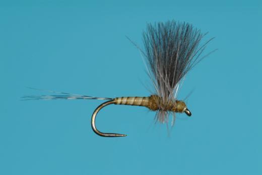 CDC BAETIS THORAX DUN - Dry Flies - Trout Flies – Dakota Angler & Outfitter