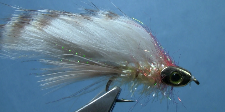Fish Skull Streamer- Dakota Angler & Outfitter - Streamer Flies Trout