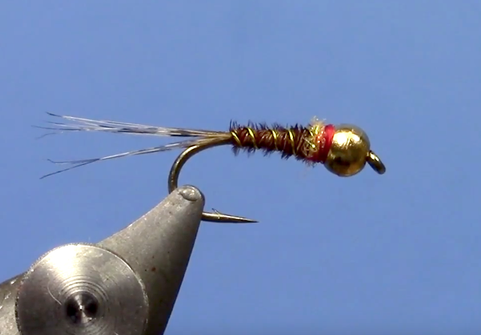 Frenchie Fly Tying Video - How to tie Lance Egan's Frenchie Nymph ...