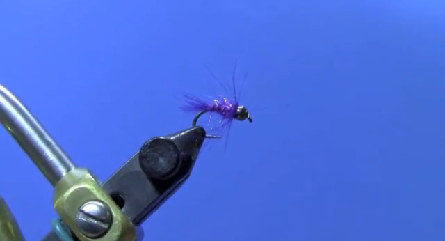 Fly Tying with Ryan - Ryan's Purple UV CDC Nymph – Dakota Angler ...