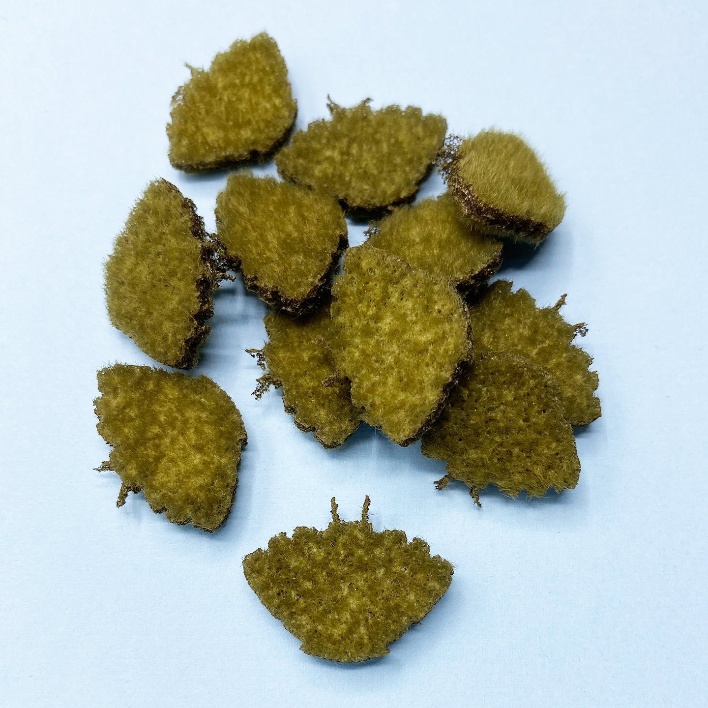 EP Permit Crab Bodies – Dakota Angler & Outfitter