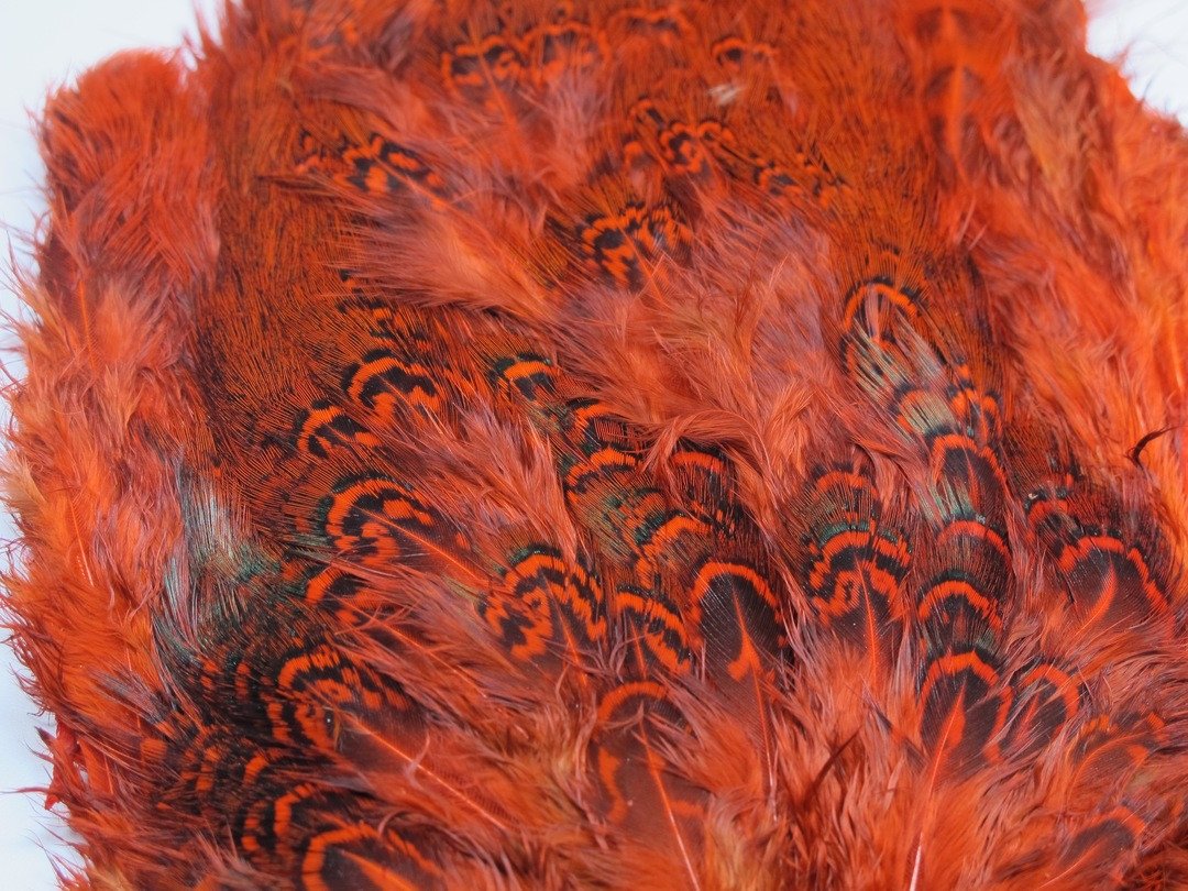 Fish Hunter Ringneck Pheasant Rump Patch – Dakota Angler & Outfitter
