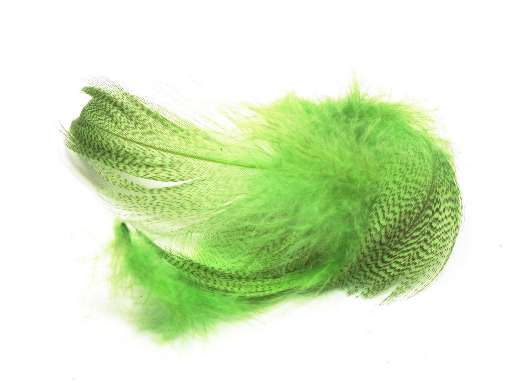 Nature's Spirit Mallard Flank – Dakota Angler & Outfitter