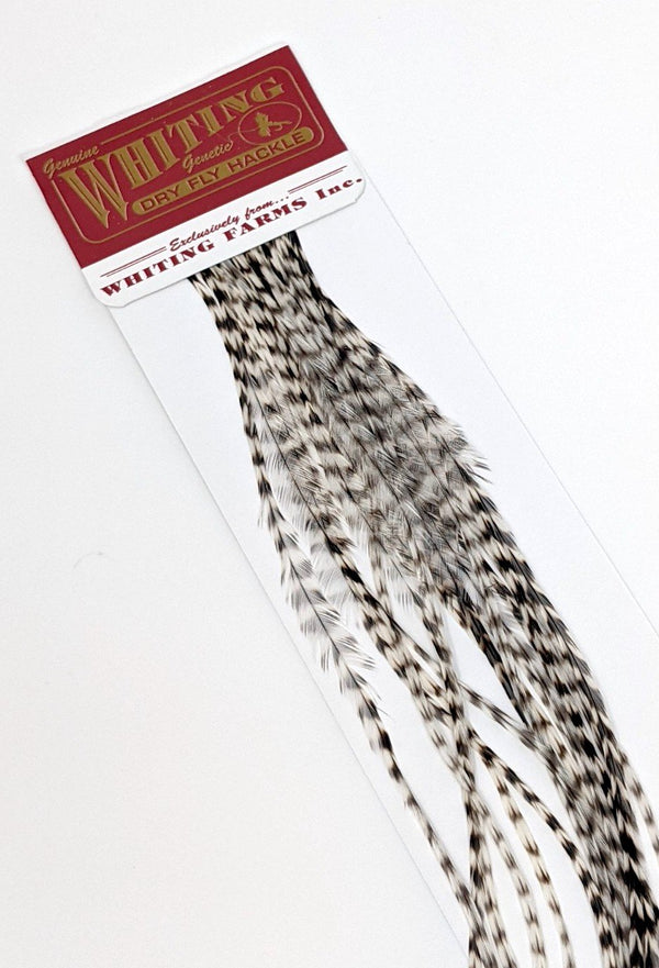 Whiting Hackle – Dakota Angler & Outfitter