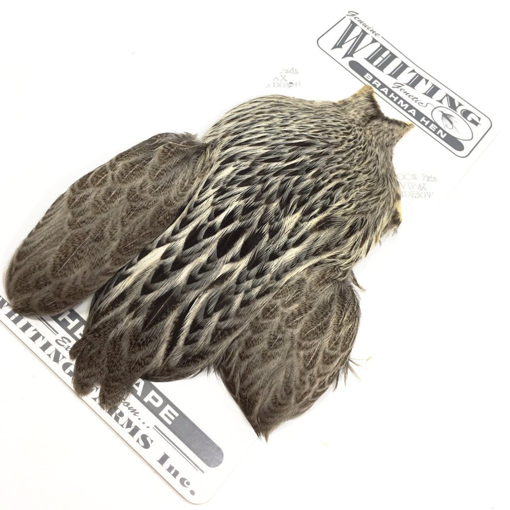 Whiting Brahma Hen Cape – Dakota Angler & Outfitter