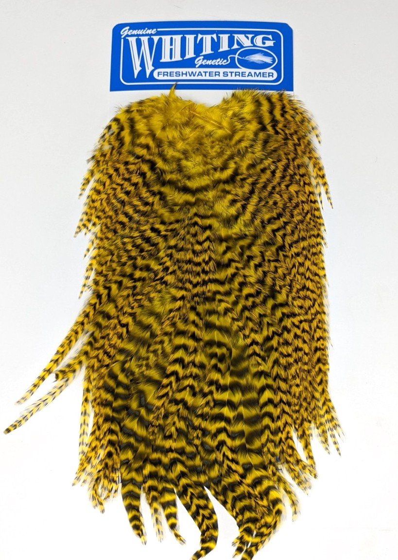 Whiting Freshwater Streamer Saddle – Dakota Angler & Outfitter